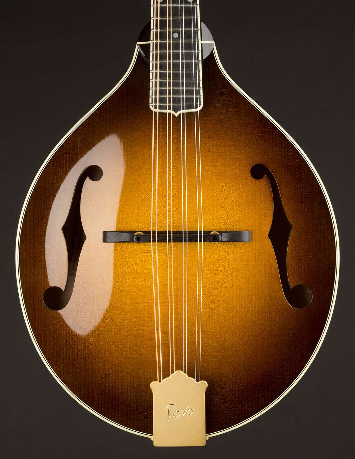 Pava Mandolins : Pava A5